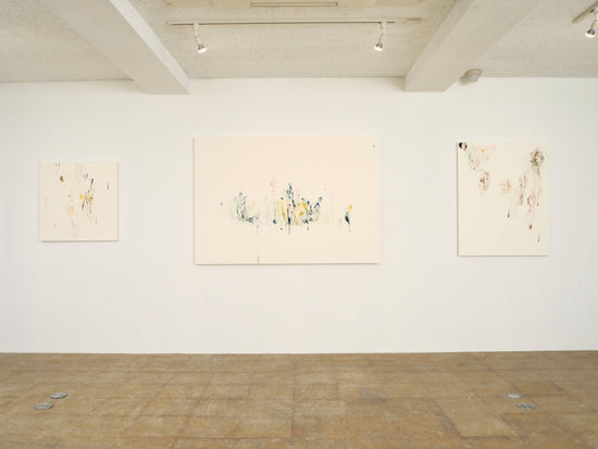 installation halon 2 – The LOOP Gallery